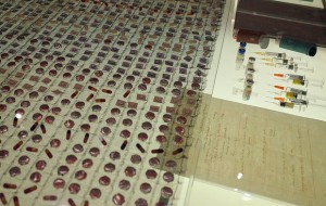 Thousands of pills – Cradle to Grave by Pharmacopoeia at the British Museum