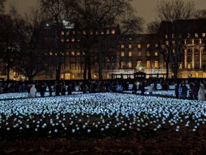 Today is your last chance to dedicate an illuminated rose at the Ever ...